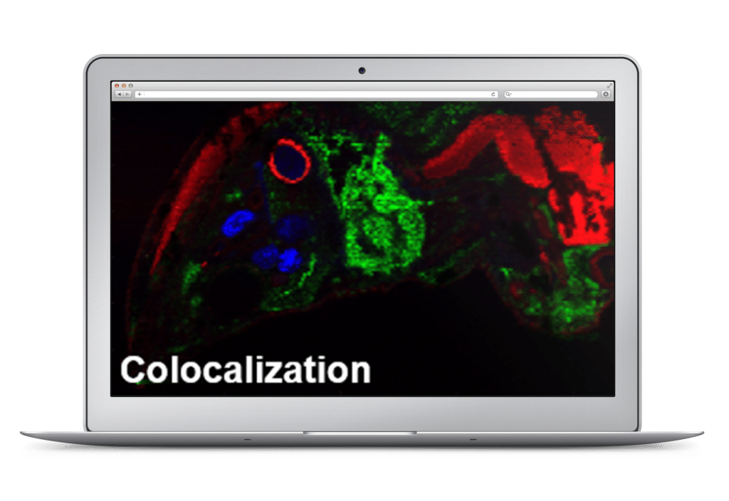 MSiReader – MSiReader